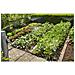 GARDENA - Sistema A Micro-goccia Per Aree Piantate Starter Set 40 M² ...