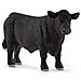 Schleich - 2513879 Toro Black Angus, 13879 - ePRICE
