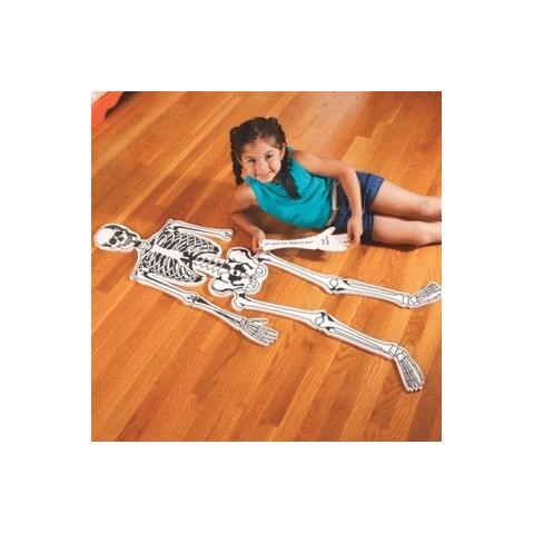 Learning Resources - Skeleton Floor Puzzle - ePRICE