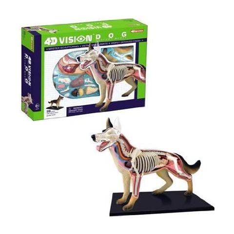 TEDCO - 4d Vision Dog Anatomy Model - ePRICE