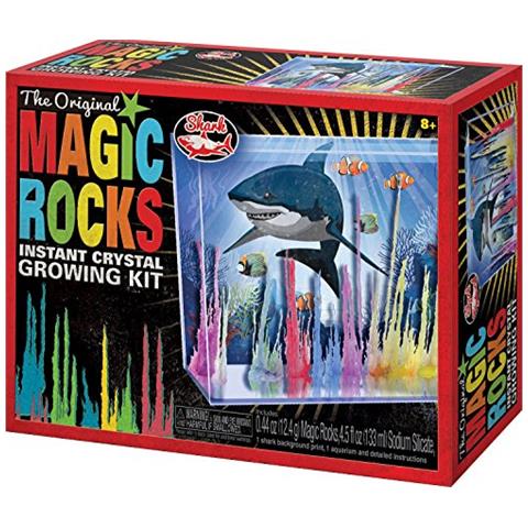 TOYSMITH - Magic Rocks Kit Per La Coltivazione Istantanea Dei Cristalli ...