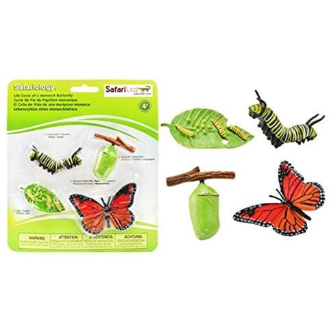 SAFARI LTD. - Safari Ltd Ciclo Di Vita Di Una Farfalla Monarca - ePRICE