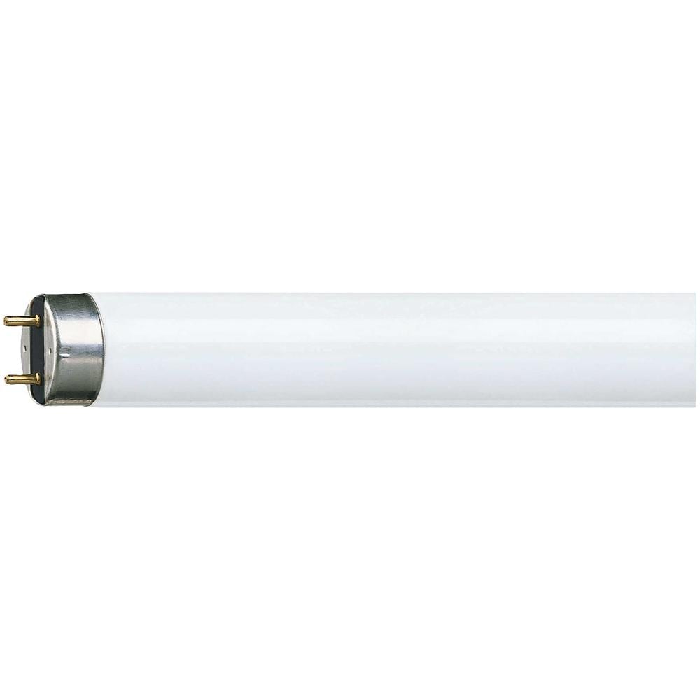 PHILIPS - MASTER TL-D Super 80, Tube bulb, T8, G13, Bianco, A, Bianco ...