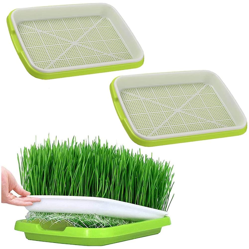 HTN - Germine Germiera Semi Vassoio Vassoio Vassoio Semina La ...