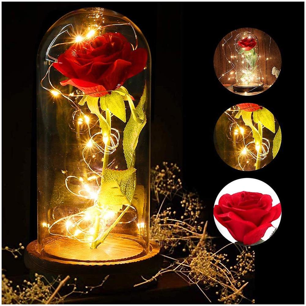 HTN - Eterna Rose Under Bell, Rose Under Bell, Enchanted Rose Christmas ...