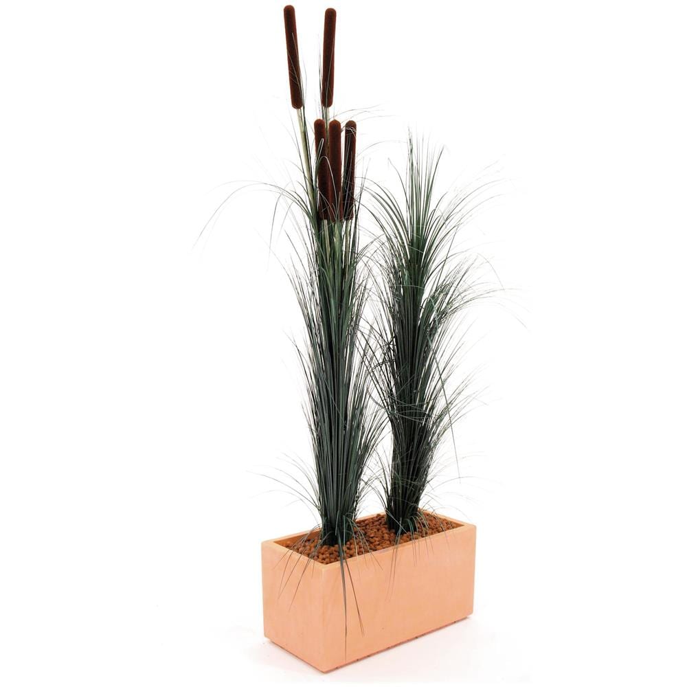 EUROPALMS - Pianta Artificiale Canna Di Erba Con Tife Colore Verde ...