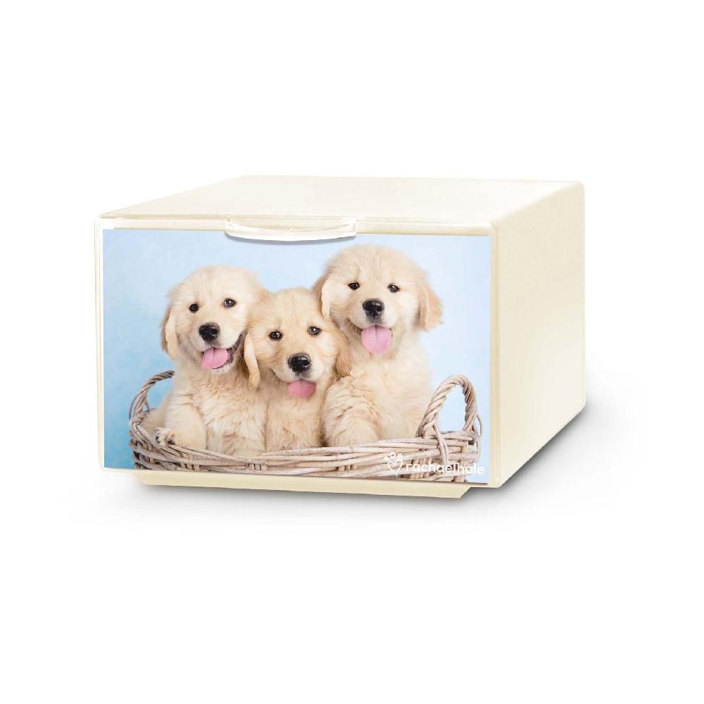 FACILITY - Contenitore Mini Qbox Vaniglia Mix 4 - ePRICE