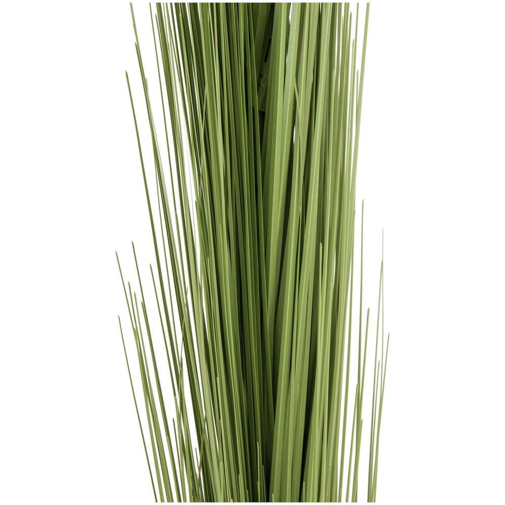 EUROPALMS - Canna Di Erba, Verde Chiaro, 127cm - ePRICE